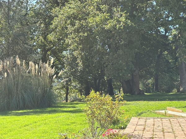 Renovated Hilltop Farmhouse Property 17 Hectares, Gorgeous Views Close To Bonnac - Pamiers