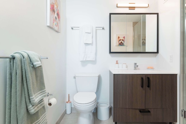 Central Square 2br Penthouse Near Mit & Harvard To Balance Life, Work Play Sleep - Brookline, MA