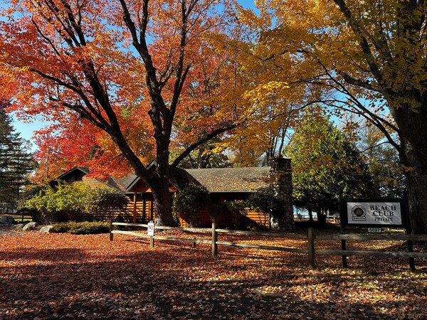 Studio Pet Friendly Condo Free Pool Pass Bellaire Shanty Creek Summit Village - Torch Lake, MI