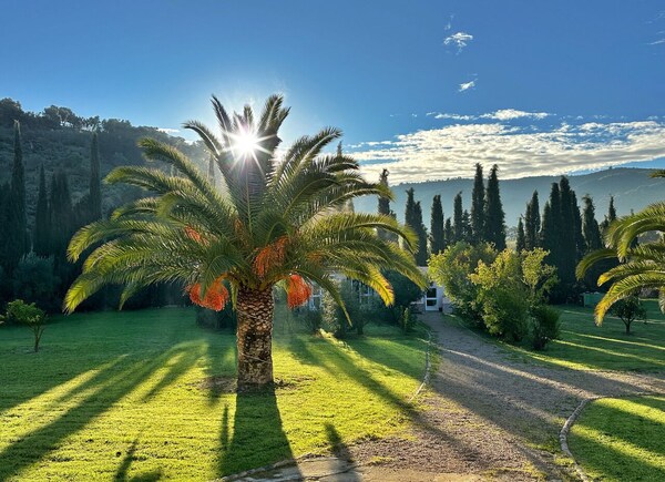 Vacation Home For 4 Guests With 45m² In Olvera (267435) - Olvera