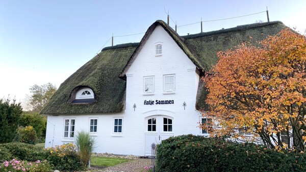 Vacation With Dog Incl. Swimming Pool And Sauna - Amrum
