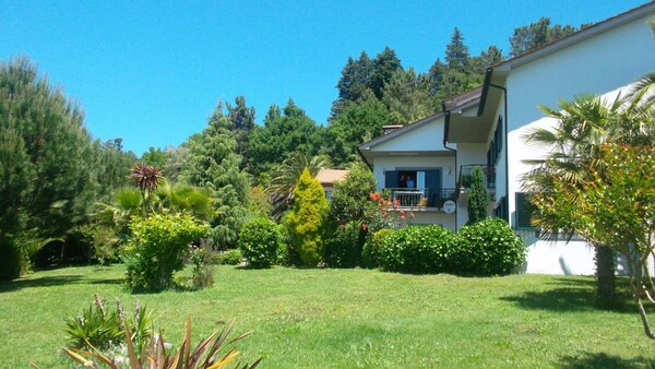 Apartment 'Casa Pinho' With Mountain View, Private Terrace And Wi-fi - São Pedro do Sul