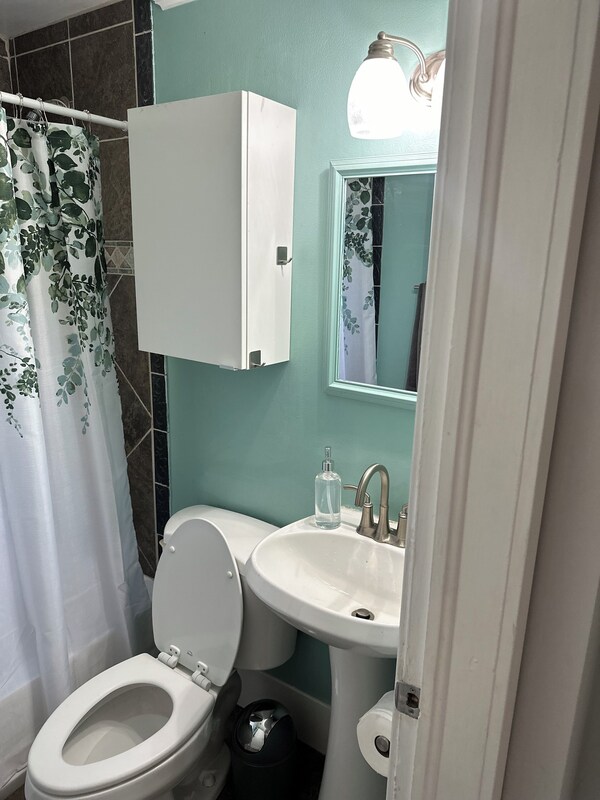 15 Minute Walk To Byu!! Updated 2 Bed 1 Bath Home With All You Need. - Springville, UT