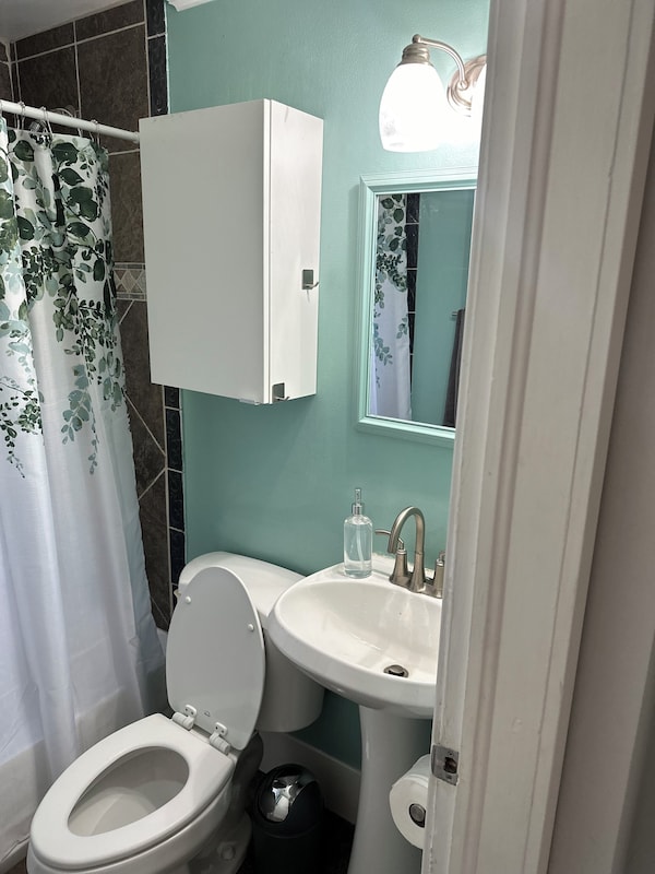 15 Minute Walk To Byu!! Updated 2 Bed 1 Bath Home With All You Need. - Springville, UT