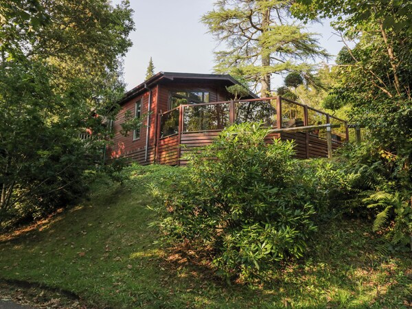 Tree House, Partial Lake Views, Pet Friendly In Windermere - Windermere