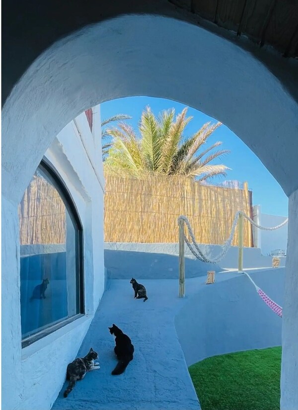 Casa Tortuga  Apartment In Agaete, Gran Canaria - Playa de Las Arenas (Punta Góngora)