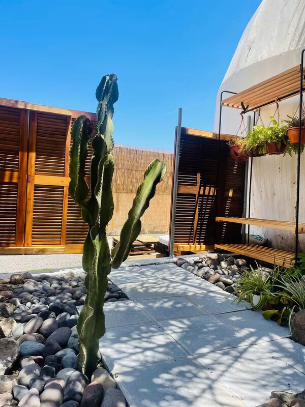 Casa Caracol  Cosy Stay In Agaete, Gran Canaria - Gran Canaria