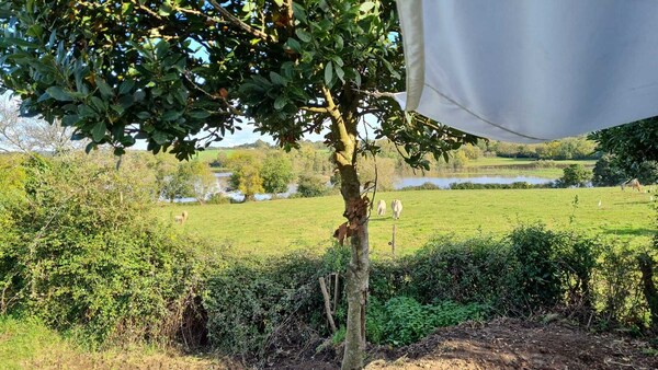Tiny House En Campagne - Planète Sauvage