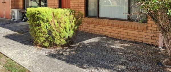 Silvers 1 - 3 Bedroom One Level Apartment - Jindabyne