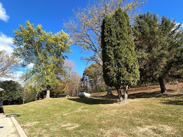 Blakley Hobbit Charming 2-bedroom Country House With Ac, Wifi In Soothing Viola - Viroqua, WI
