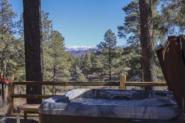 Secluded Cabin: Hot Tub, Pet-friendly, 3.5 Acres, Stunning Mountain Views, Starlink Wifi, Fire Pit! - Pagosa Springs, CO