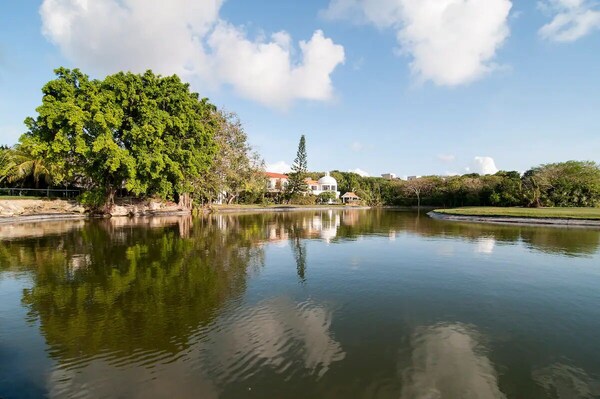 This Wonderful Villa Will Make You Want To Stay In Playa Del Carmen Forever! - プラヤ・デル・カルメン