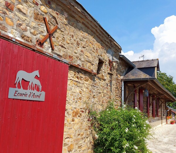 Country House With Terrace And Fireplace, Accessible For Prm, Near Water Activities - La Guerche-de-Bretagne