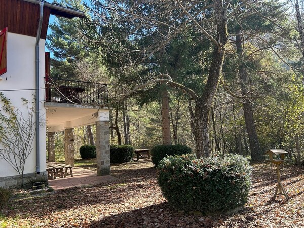 Chalet Tuilerie Pour Jusqu'aux 16 Personnes - 15 Minutes De Station - Alpes-de-Haute-Provence