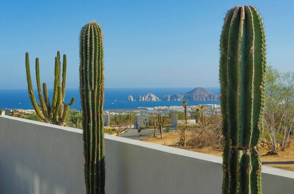 A Privileged Place In Los Cabos - Cabo San Lucas