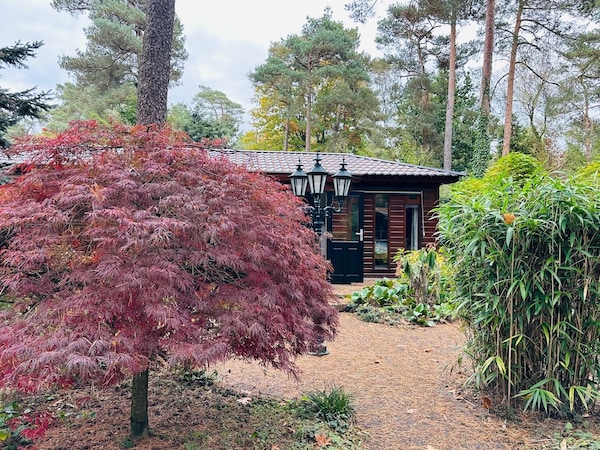 Stayatsas Tiny House On The Veluwe Pippa, Kids And Dogs Welcome, Large Terrace - Elburg