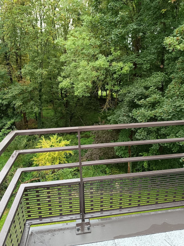 Appartement 'Chez Sibylle Chevreuse Saclay' Avec Balcon, Wi-fi Et Climatisation - Guyancourt