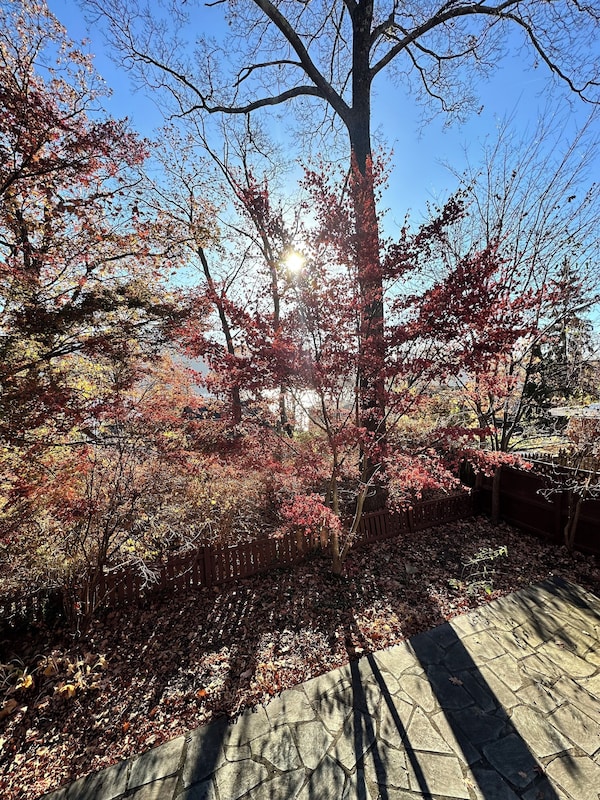 Billymoes Bungalow, A Low Key 3 Bedroom House With Lake View. - Greenwood Lake, NY