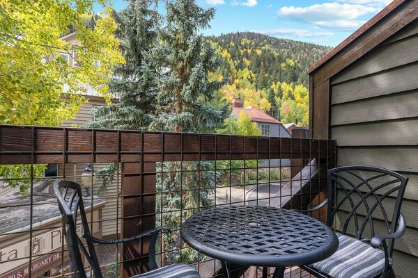 Ski In/out, Remodeled Luxury Condo - Ouray, CO