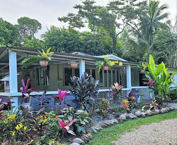 Alena Starhouse - Eco-luxury Retreat With Pool, Prime Cape Tribulation Position - Cape Tribulation