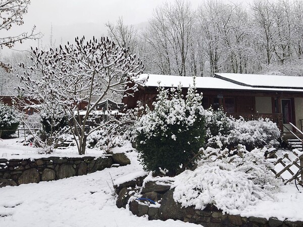 Spacious Chalet Sleeps 15 - Les