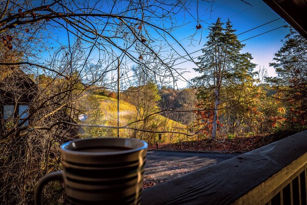 Quiet Cozy 2 Bedroom Cabin In Sevierville - Sevierville, TN