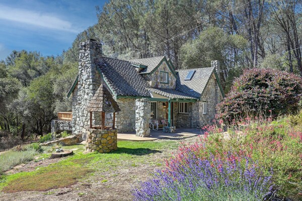 Lester Cabin 5min To Downtown Auburn 20min To Roseville Next To Mountain Biking - Lake of the Pines, CA