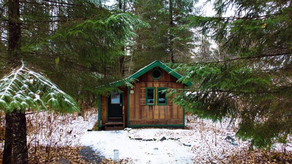 Abode Well Cabin King Bed Wifi Full Bath - Seward