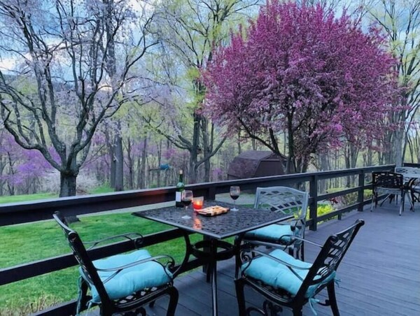 Raystown Mountain Escape - Views & Relaxing Spaces - Huston Township