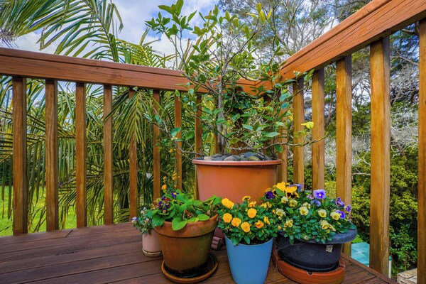Charming One Bedroom Guest House Retreat - Auckland