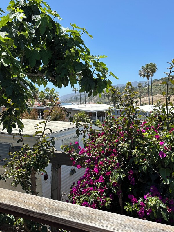 Cozy Ocean View Mobile Home In Amazing Pacific Palisades With Ac, Wifi & Laundry - Santa Monica, CA