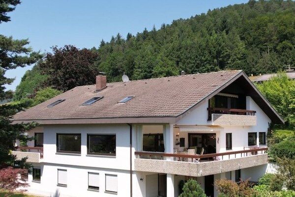 Villa Schwarzwaldblick Fewo - Lahr/Schwarzwald