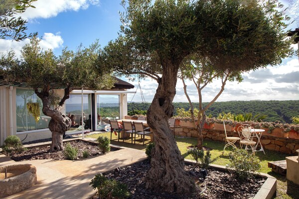 "Tranquilidad Y Encanto En La Olive Tree House - Finca Love Garden" - Zahara de los Atunes