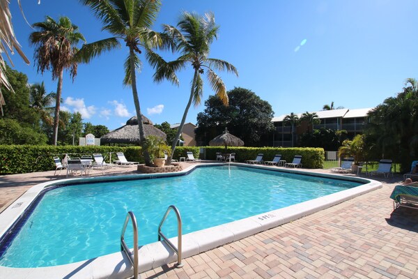 New! Oceanside Casa Largo Tropical Getaway! Pickleb-beach-pool-kayak-tenni-fish\n - Key Largo