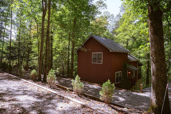 Secluded Cabin Convenient To Blairsville - Blairsville, GA