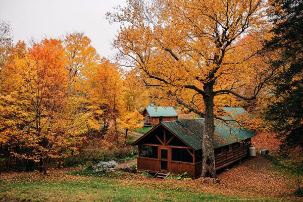 Bunk In A Shared Bunkhouse With Shared Bathroom - Maine