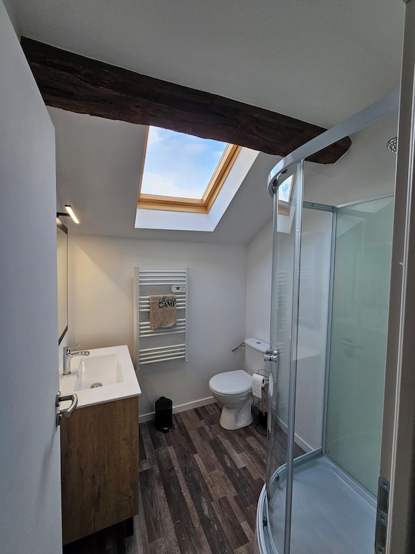 Bel Appartement Mansardé à Quelques Pas Du Centre Ville - Decize