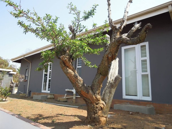 Spacious 5-bedroom House With Wifi 15 Min From The Airpot. - Johannesburg