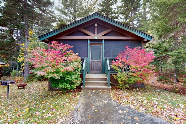 Comfortable Dog-friendly Cabin With Fireplace & Kitchenette Near Hiking Trails - Belfast, ME