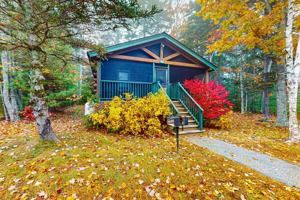 Relaxing Two Bedroom Cabin Escape W/fireplace, Kitchen & Wooded Views - Camden, ME