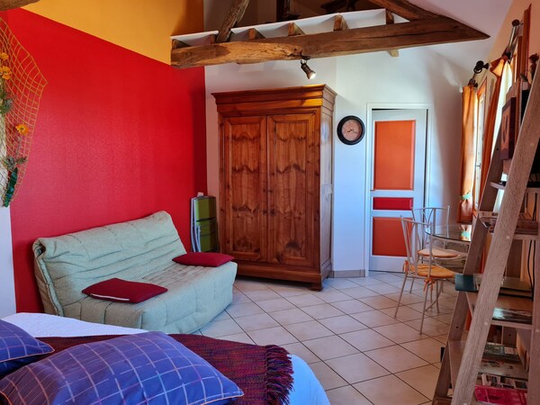 Charmante Suite Volière Au Rdc, Parking Privé - Sully-sur-Loire