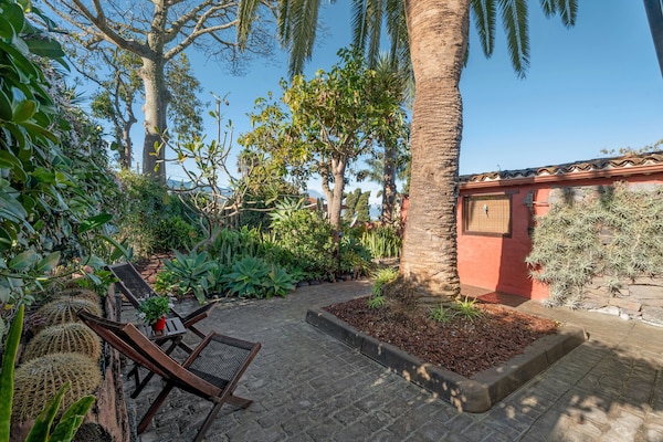 Vakantiehuis 'Casa Palmera - Privé Paradijs' Met Zeezicht, Terras En Wi-fi - Tacoronte