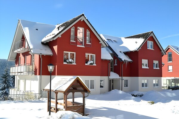 Ferienwohnung Tannenblick 3-3" Mit Gemeinschaftsgarten, Balkon Und Wi-fi - Zella-Mehlis