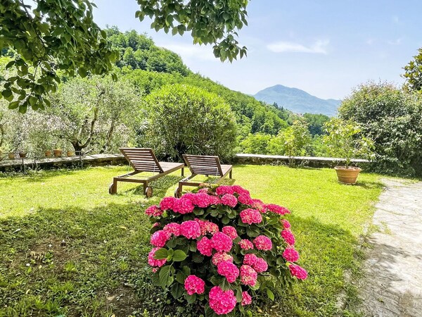 Elegante Appartamento Per 2 Persone Con Piscina Privata, Tv, Patio, Animali Ammessi E Parcheggio - Provincia di Lucca