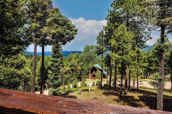 Spacious Mountain Cabin With Views, Deck, Second Living Area, Pet-friendly - Angel Fire, NM