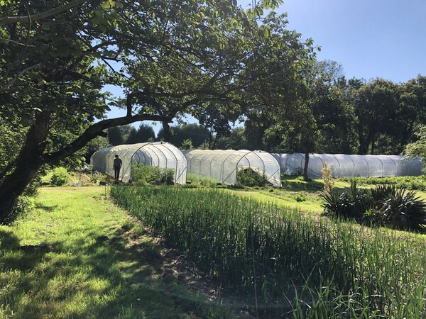 Au Cœur D'une Ferme Maraîchère, Sur La Côte D'emeraude - Saint-Lunaire