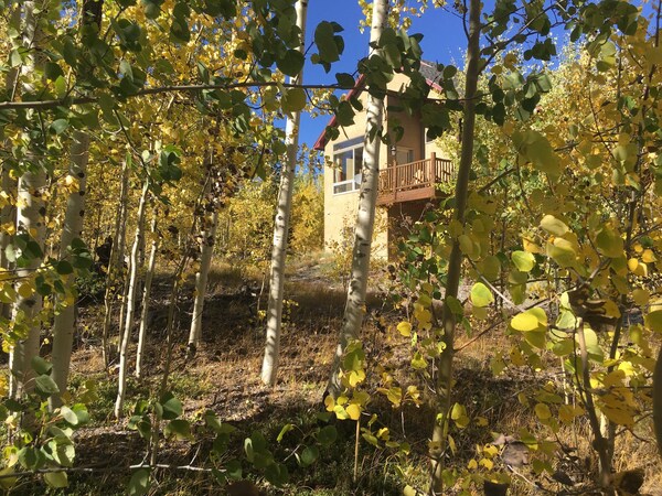 Spacious 4-bedroom Home In Fairplay On Wooded Lot With Mountain Views - Fairplay, CO