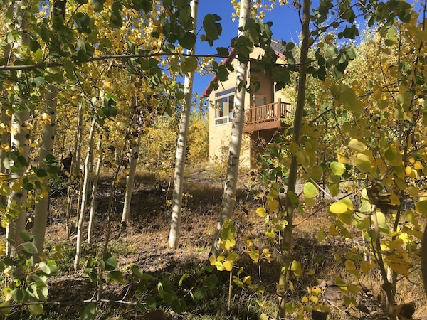Spacious 4-bedroom Home In Fairplay On Wooded Lot With Mountain Views - Fairplay, CO