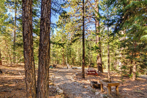 Near National Parks: Duck Creek Cabin Retreat - Navajo Lake, UT
