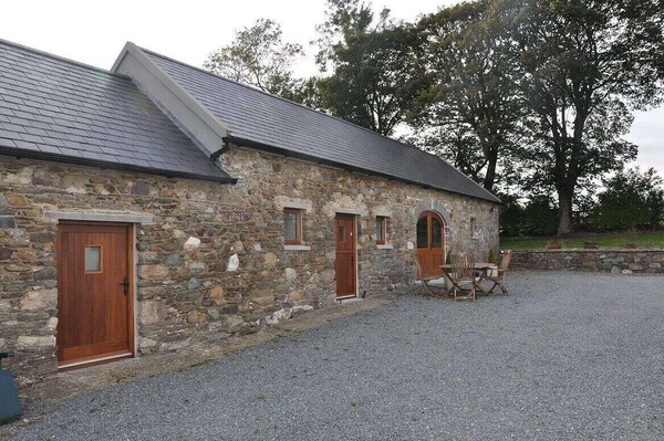 Stunning Renovated Country Barn - Waterford